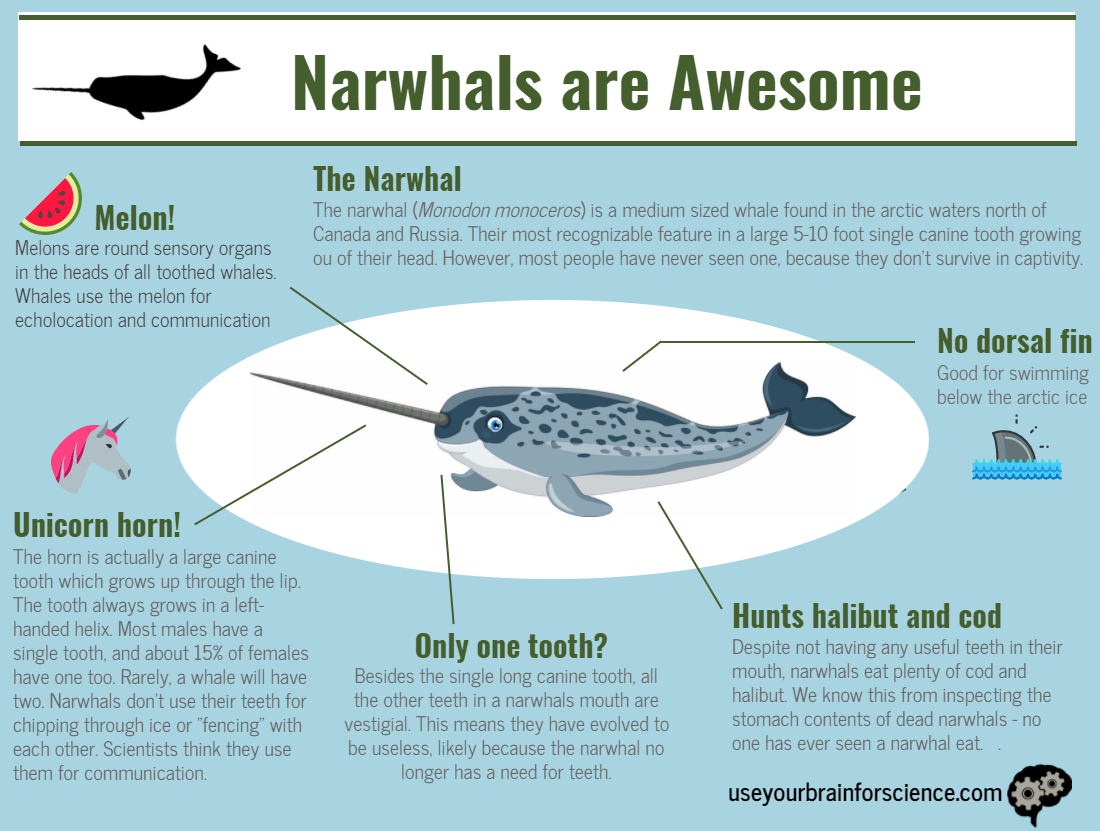 Use Your Brain For Science Infographics Use Your Brain For Science Infographics