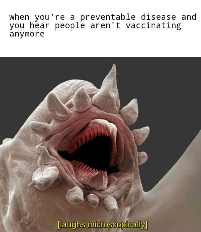 Use Your Brain for Science » Blog Archive » Microscopic laughs